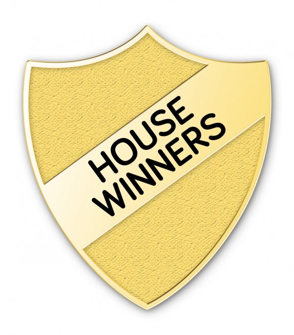 Personalised School Shield Enamel Badges - Made by Cooper